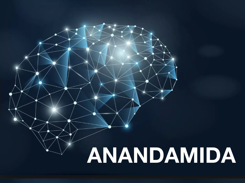 ANANDAMIDA O transmissor neuronal da felicidade e da redução da dor ...