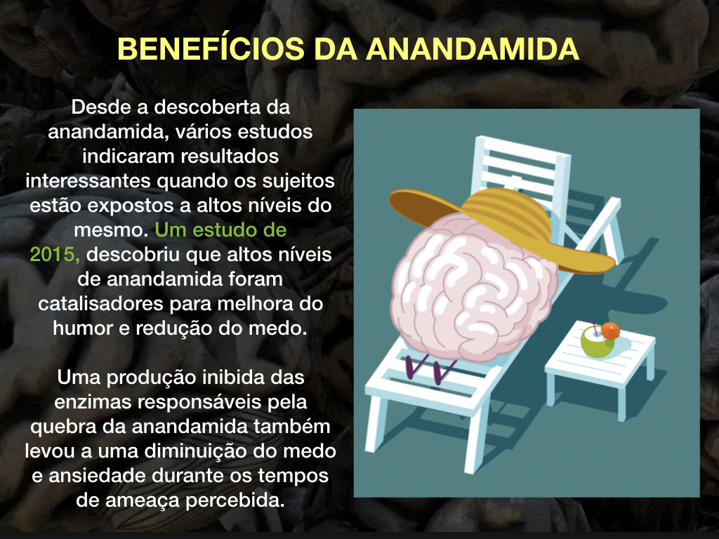 ANANDAMIDA O transmissor neuronal da felicidade e da redução da dor ...