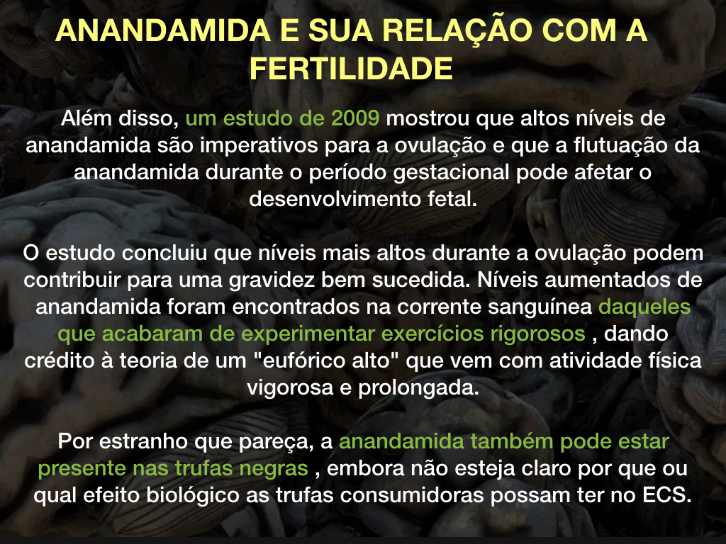 ANANDAMIDA O transmissor neuronal da felicidade e da redução da dor ...