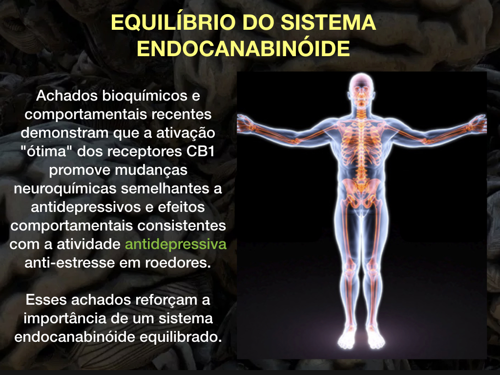 ANANDAMIDA O transmissor neuronal da felicidade e da redução da dor ...