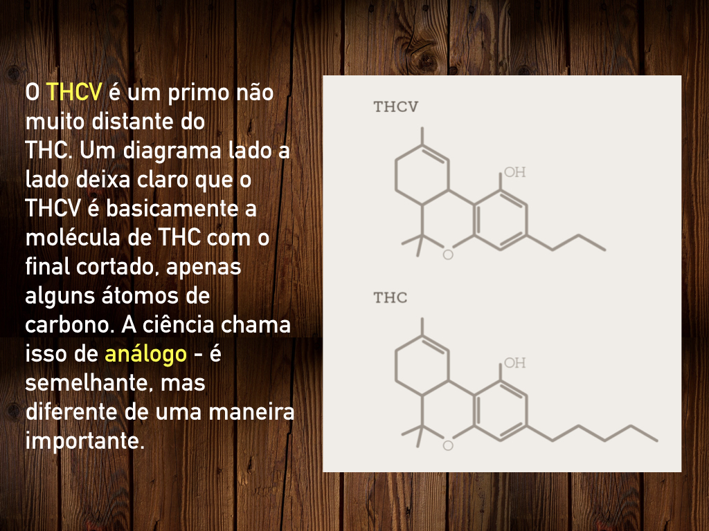 Canabinoide THCV Tetra -hidrocanabivarina !! – Terapêutica Canabinoide